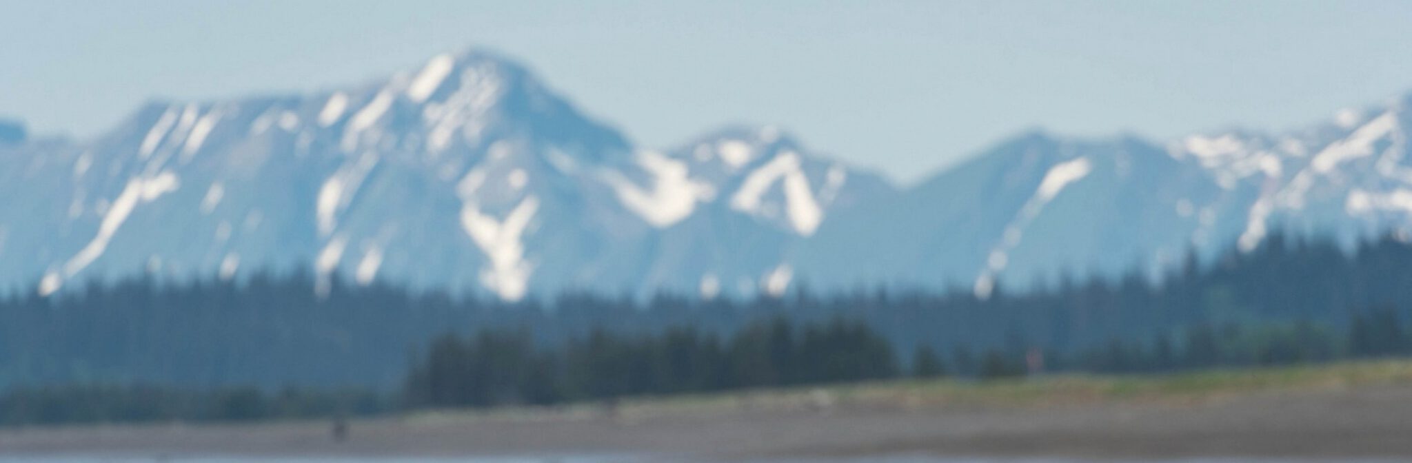 SAP VIM Masterclass – Control the Flow. Command the Outcome. Master SAP ...